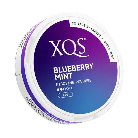 XQS Blueberry Mint - 4mg (Light) – Snus Vikings