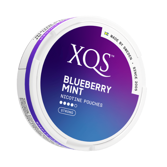 XQS Blueberry Mint - 8mg (Strong) – Snus Vikings