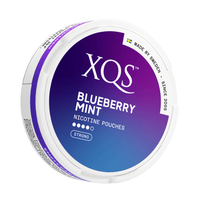 XQS Blueberry Mint - 8mg (Strong) – Snus Vikings